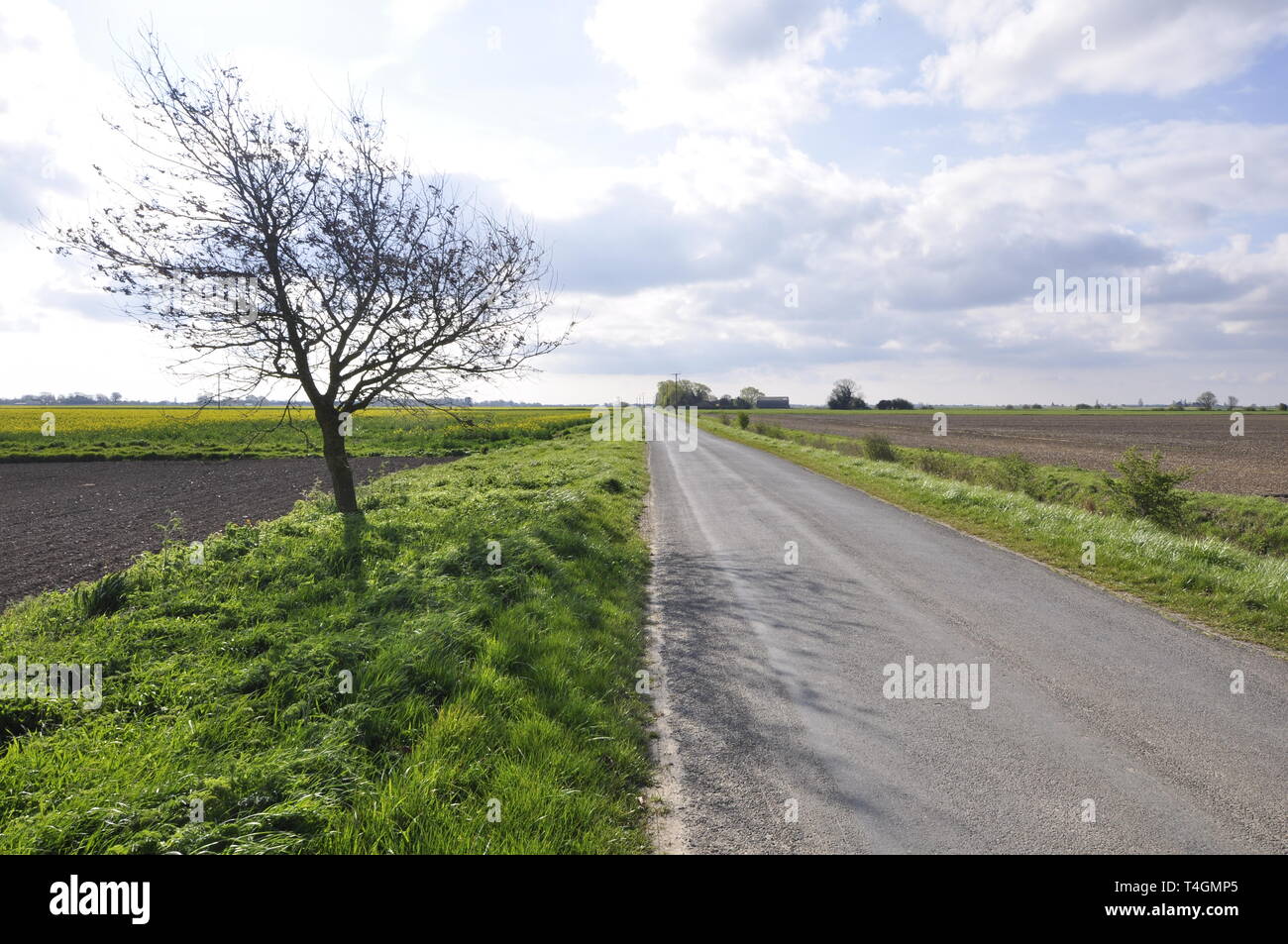 Holland Fen, looking south-east from OS grid reference 259453 ...