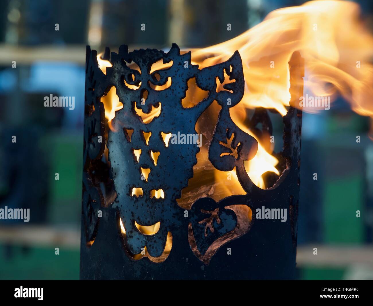 Coal owl hi-res stock photography and images - Alamy