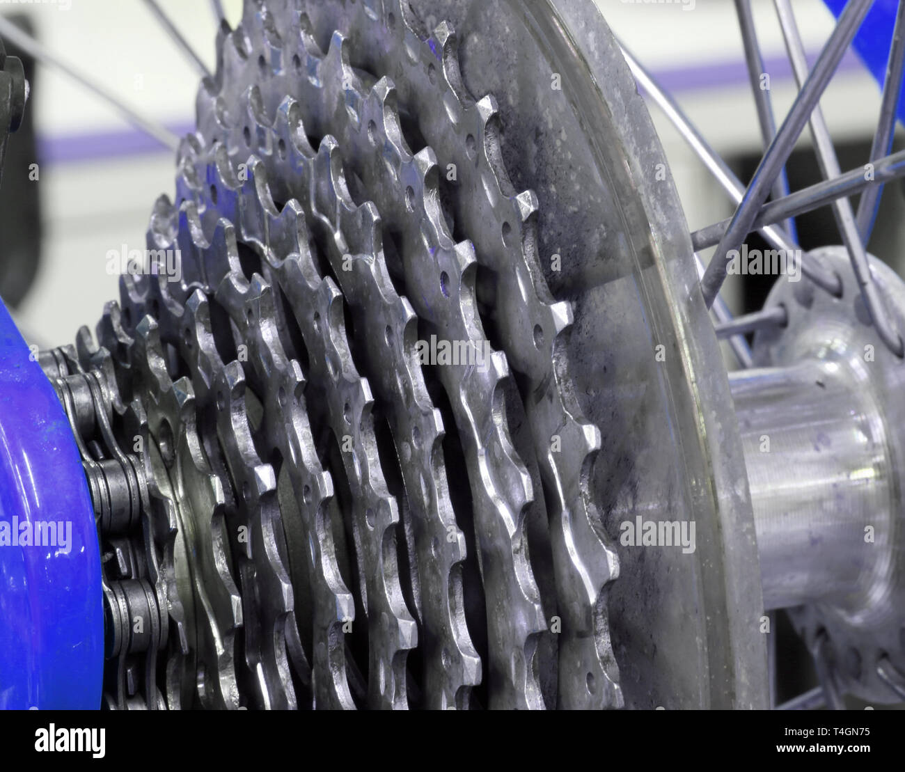 detail of a chain rings of a gear of a bike Stock Photo - Alamy