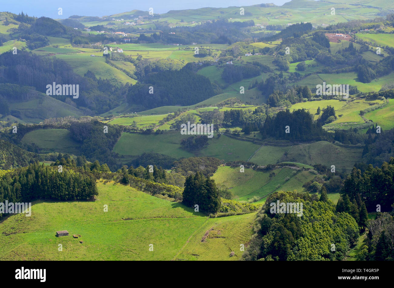 Macaronesia ecological region hi-res stock photography and images - Alamy