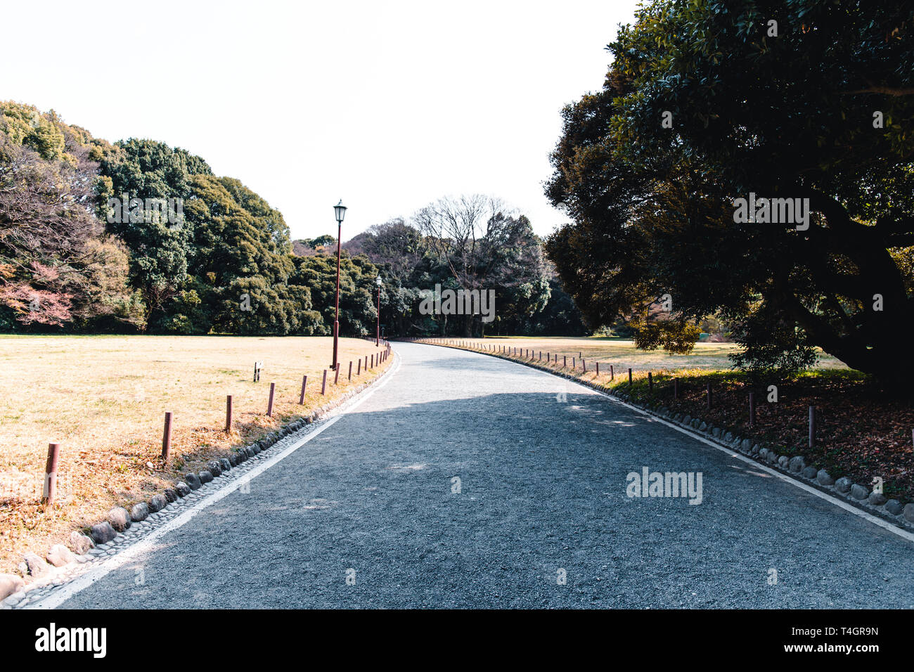 Sidewalk at Yoyogi Park in Tokyo, Japan Stock Photo - Alamy