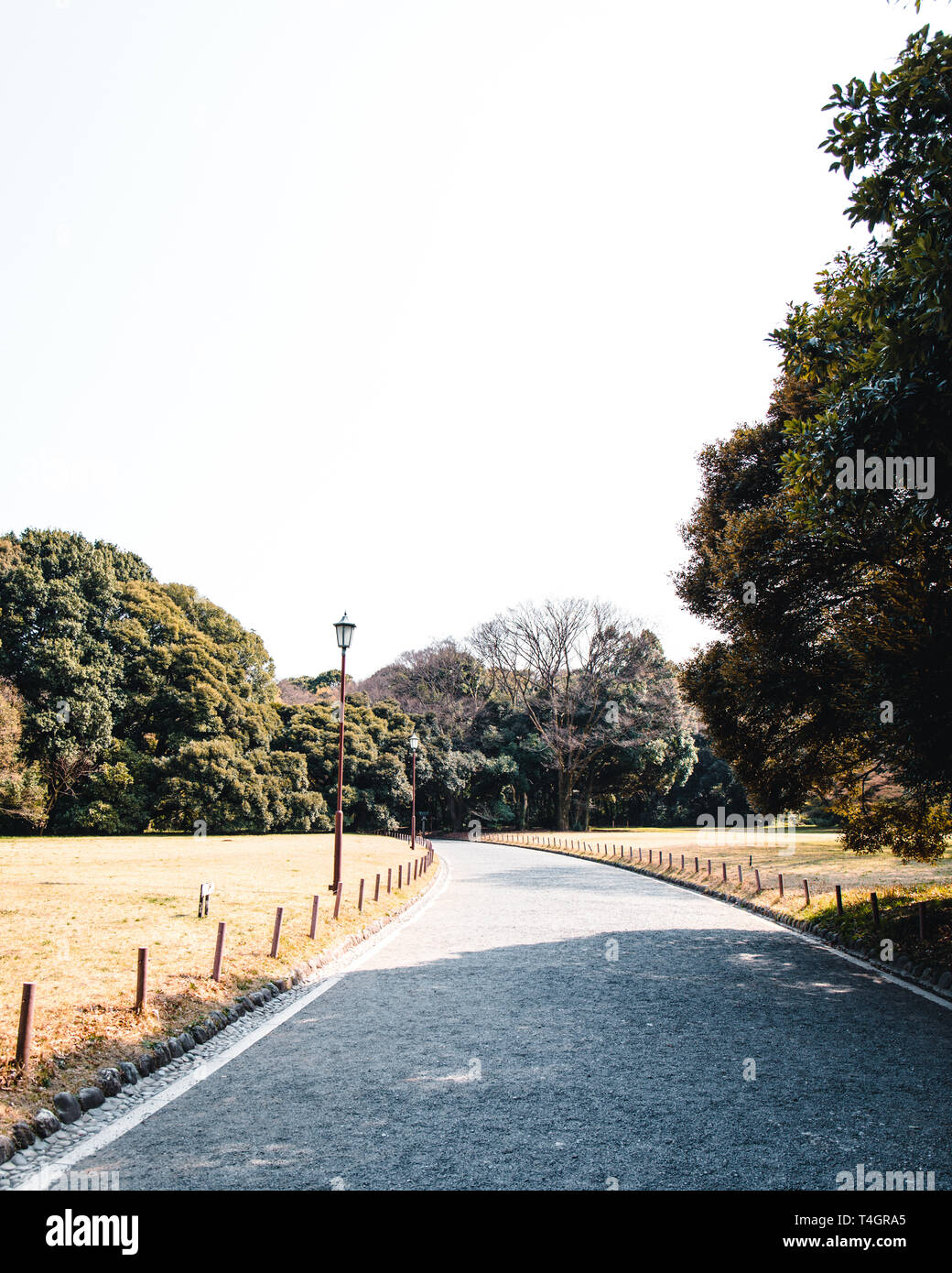 Sidewalk at Yoyogi Park in Tokyo, Japan Stock Photo - Alamy