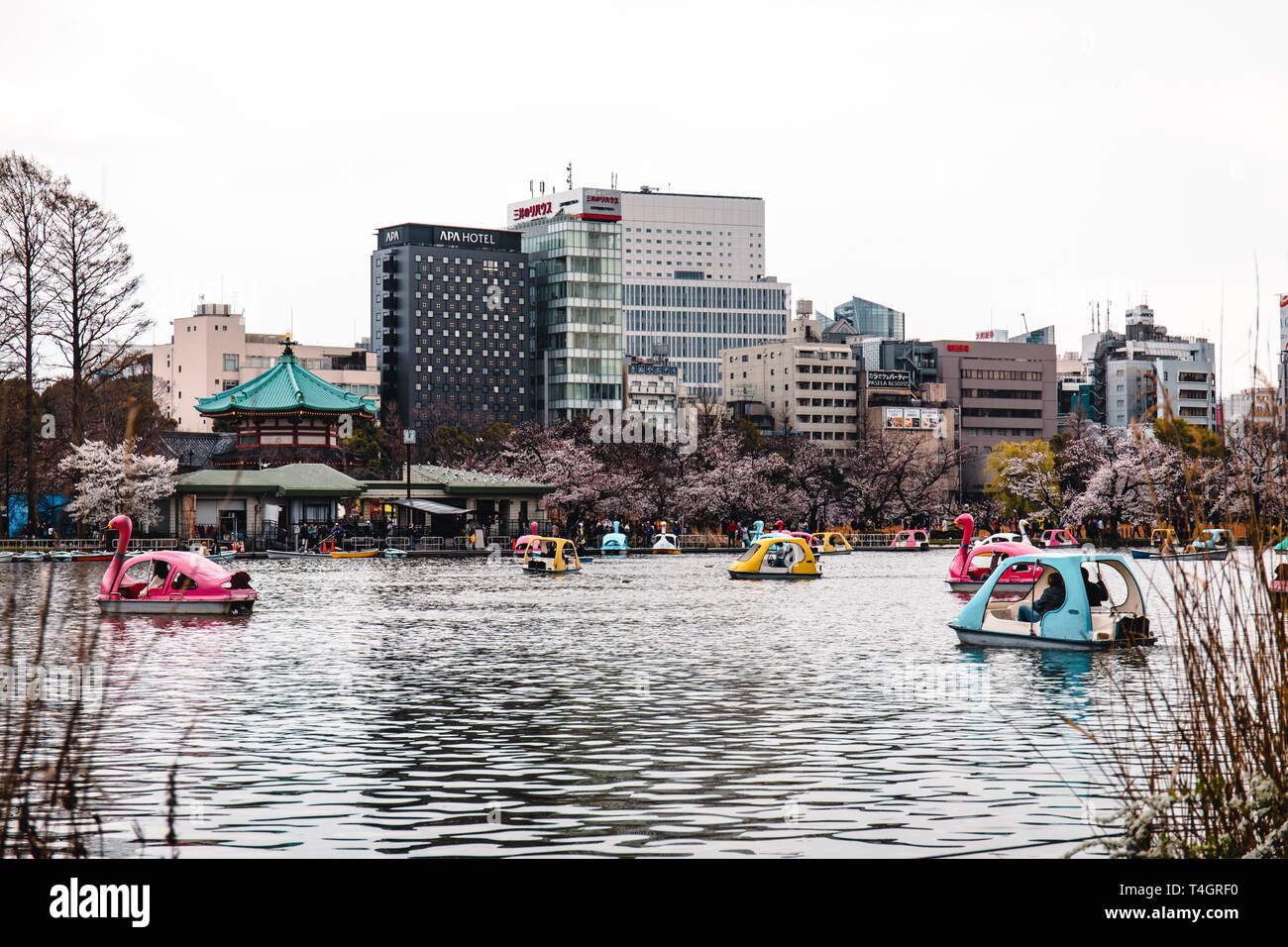 Tokyo ueno park cherry blossom spring hi-res stock photography and ...