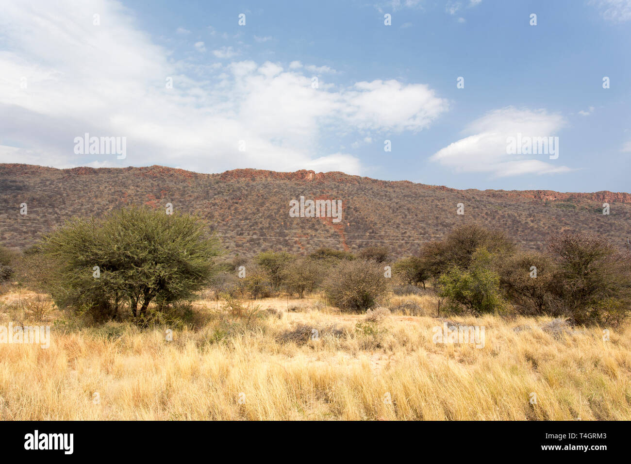 A waterberg plateau view in Namibia, south of Africa Stock Photo - Alamy