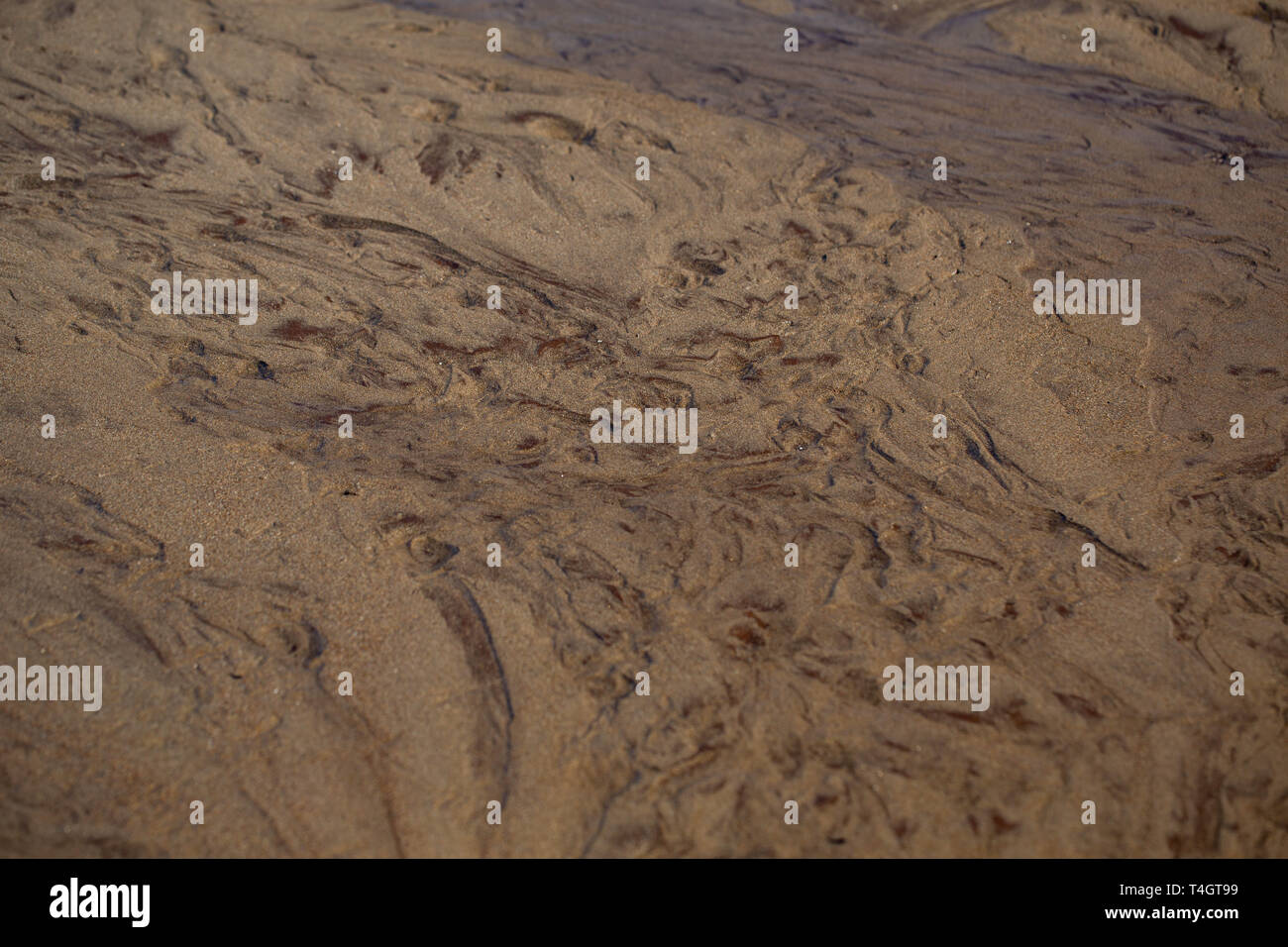Yellow sand background hi-res stock photography and images - Alamy