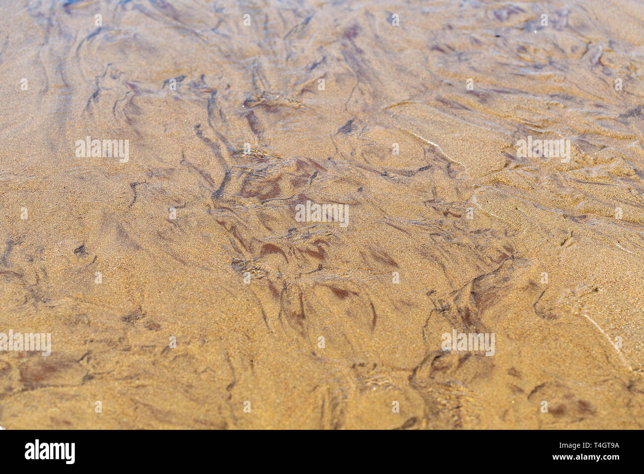 Yellow sand background hi-res stock photography and images - Alamy