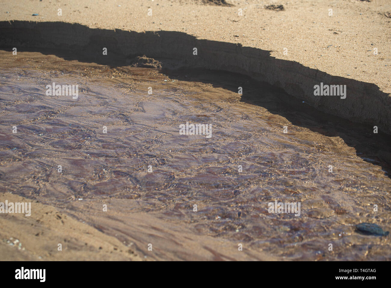 Yellow sand background hi-res stock photography and images - Alamy