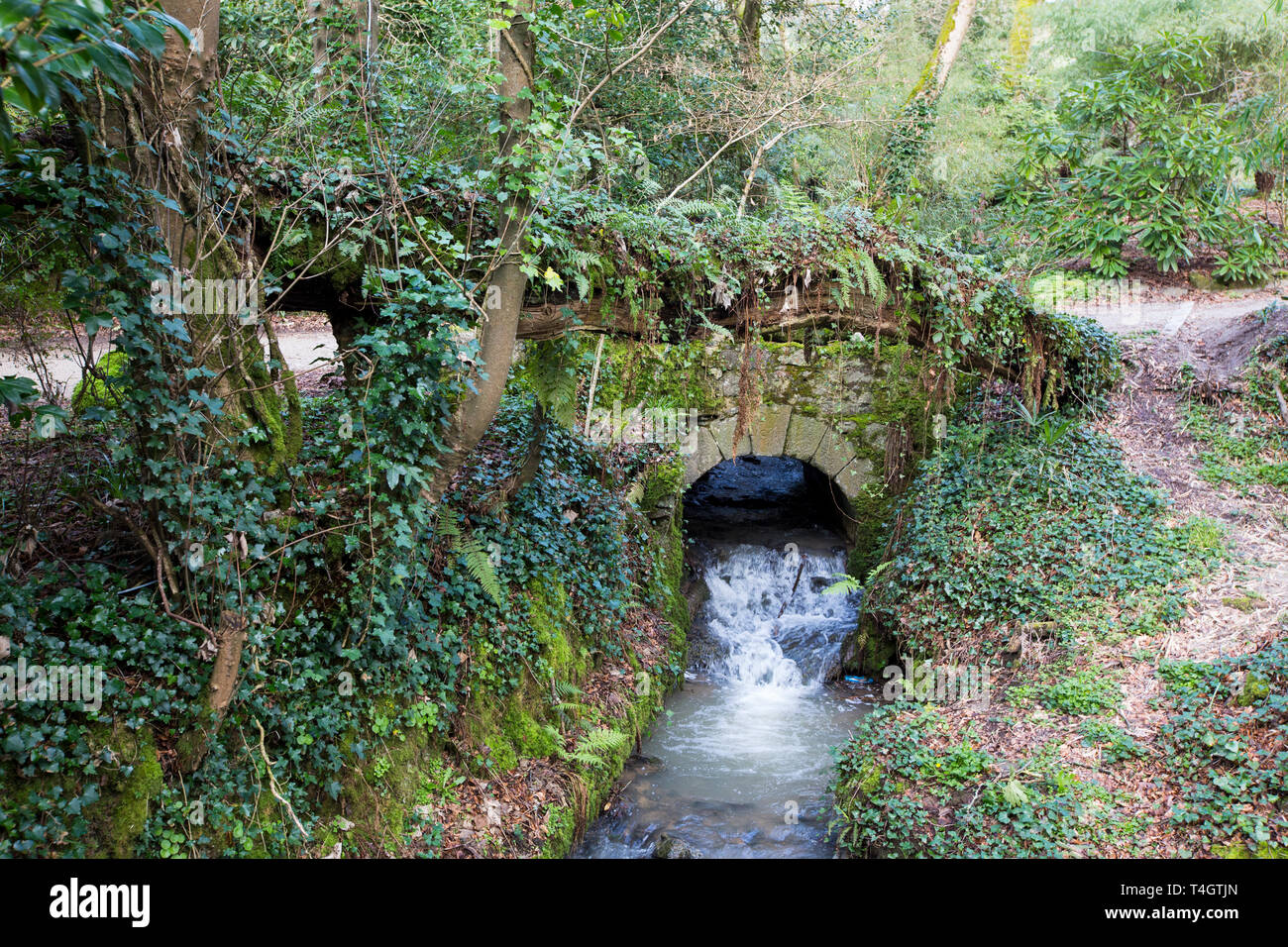 The Tremenheere Sculpture Gardens, Gulval, near Penzance, Cornwall, UK ...