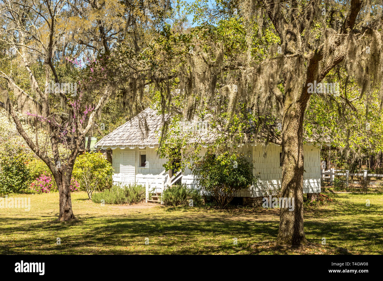 Slaves plantation hi-res stock photography and images - Alamy