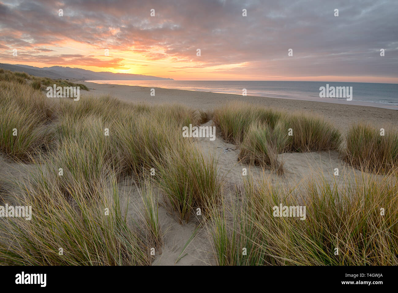 Limantour beach hi-res stock photography and images - Alamy