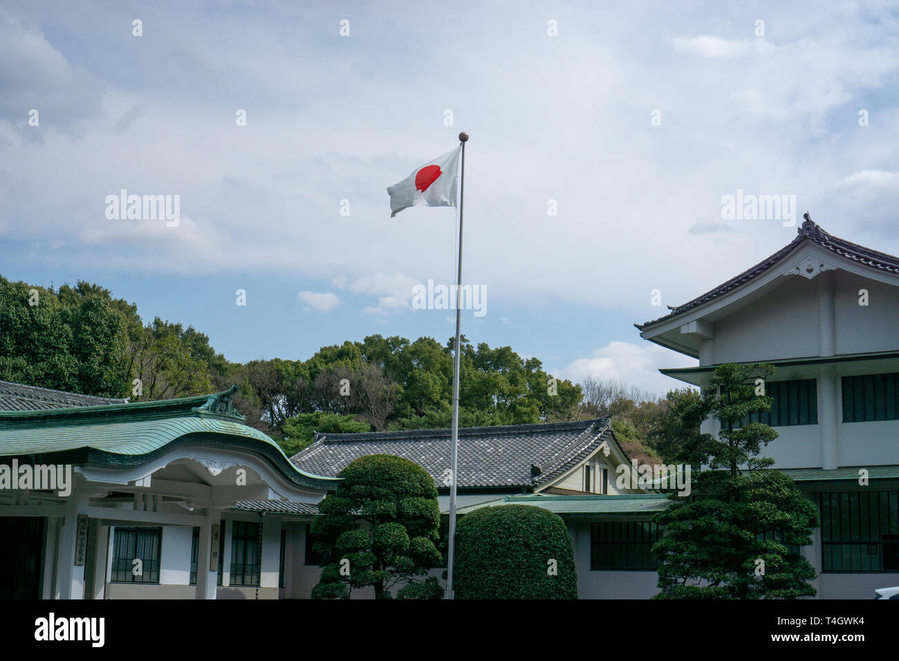Spring in meiji jingu forest hi-res stock photography and images - Alamy
