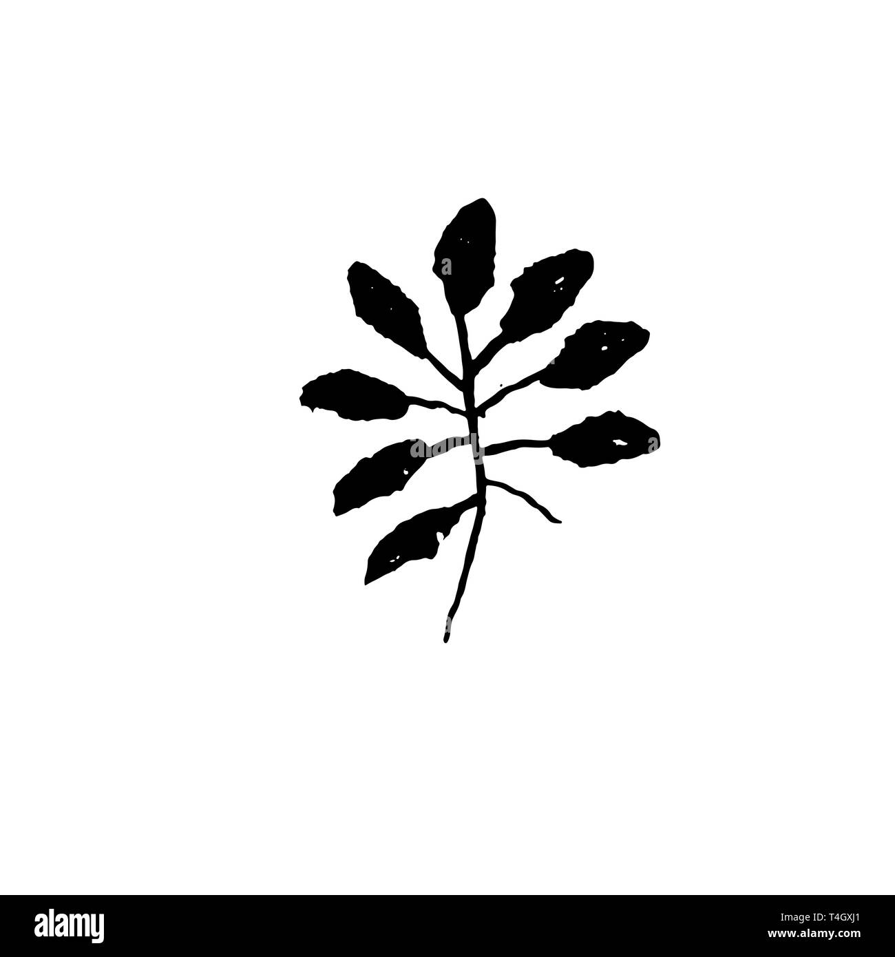 Leaf icon. Grunge vector dry brush illustration Stock Vector Image ...
