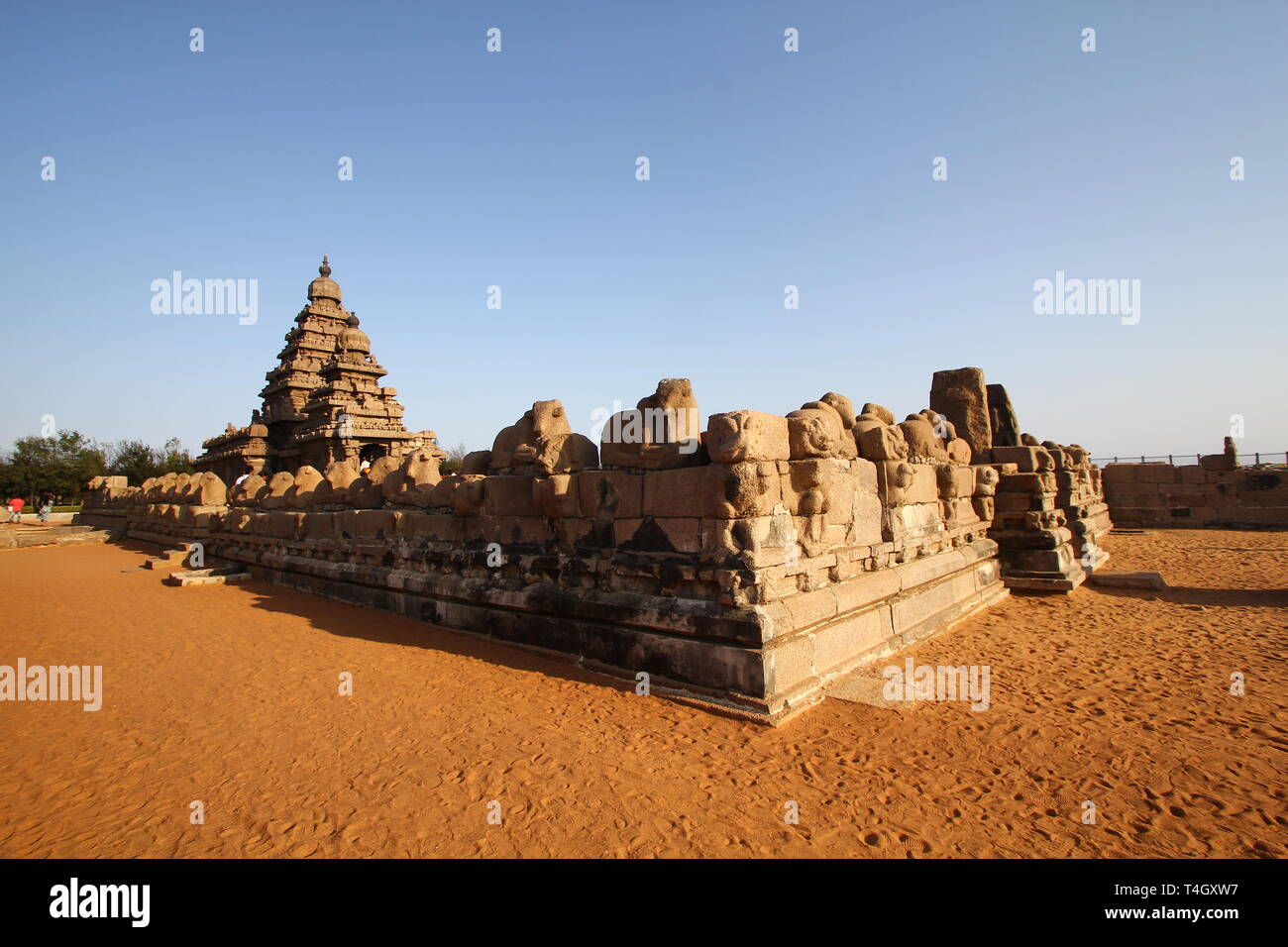 Shore Temple Complex in Mahabalipuram, Kanchipuram, Tamil Nadu, India ...