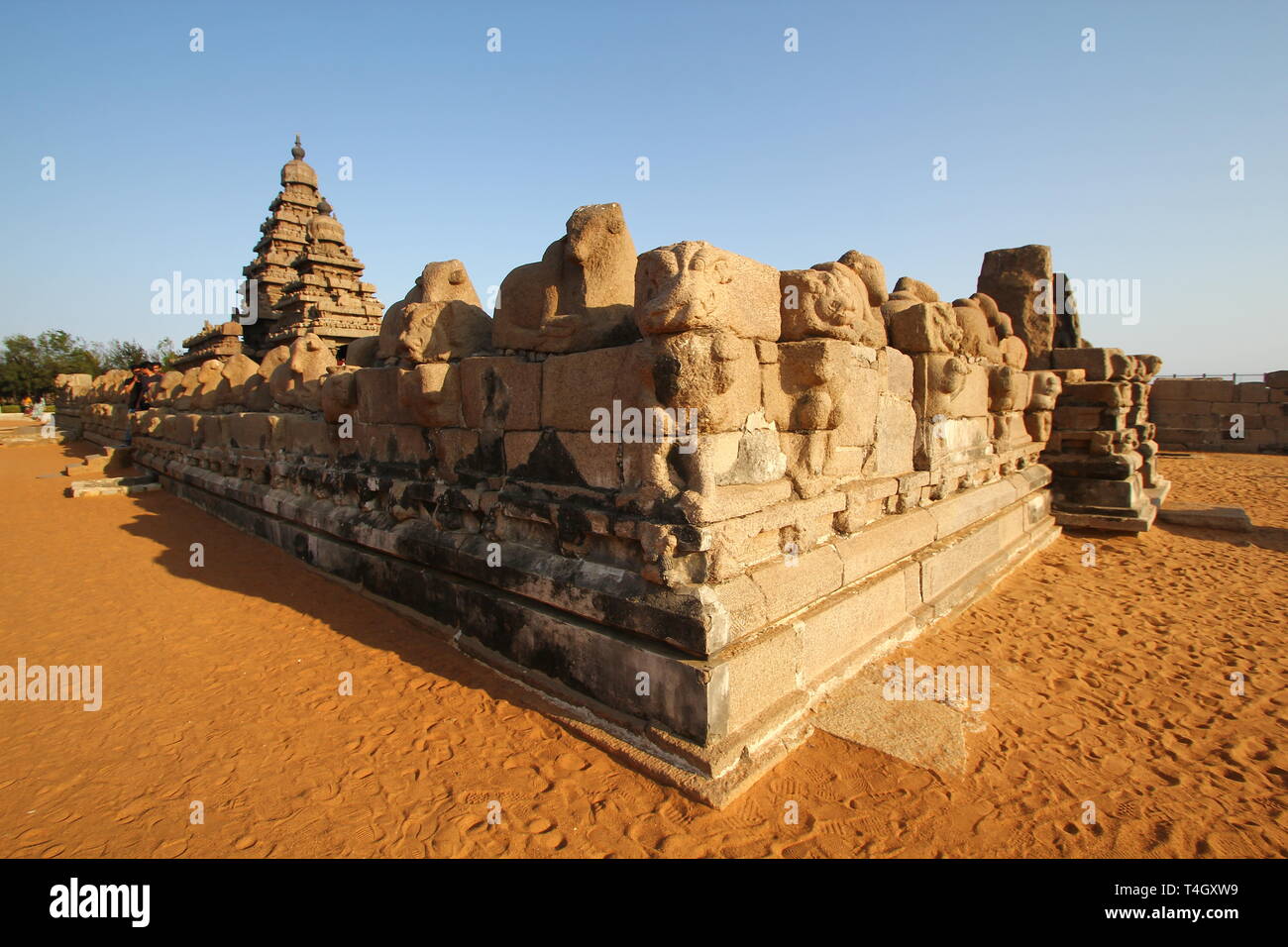 Shore Temple Complex in Mahabalipuram, Kanchipuram, Tamil Nadu, India ...