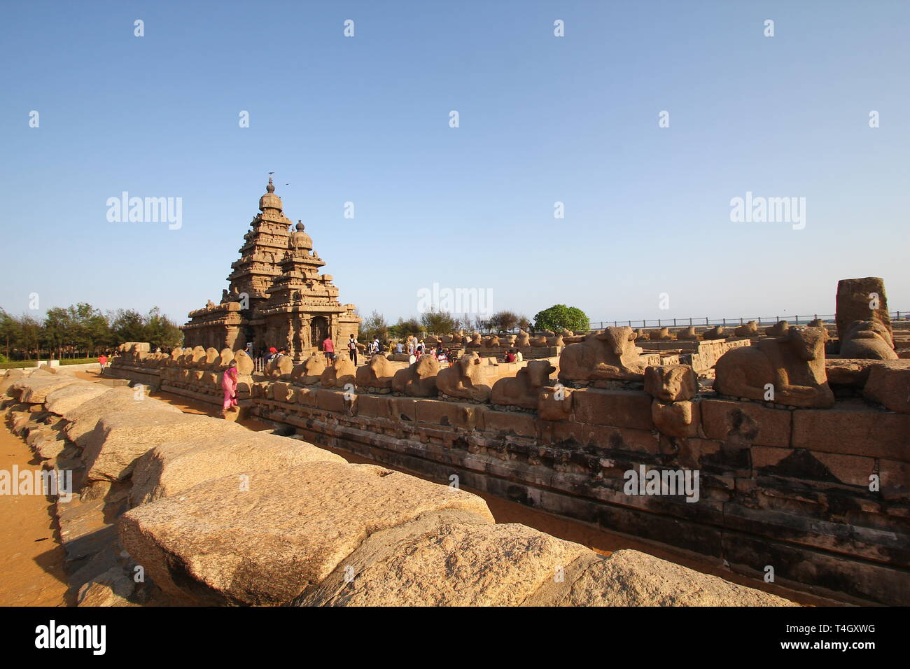 Shore Temple Complex in Mahabalipuram, Kanchipuram, Tamil Nadu, India ...