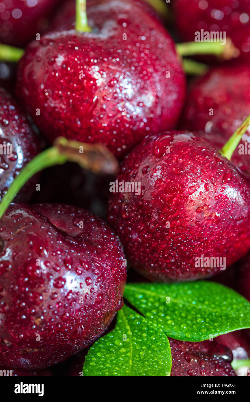Sweet red cherries background, close up, vertical composition - Image ...