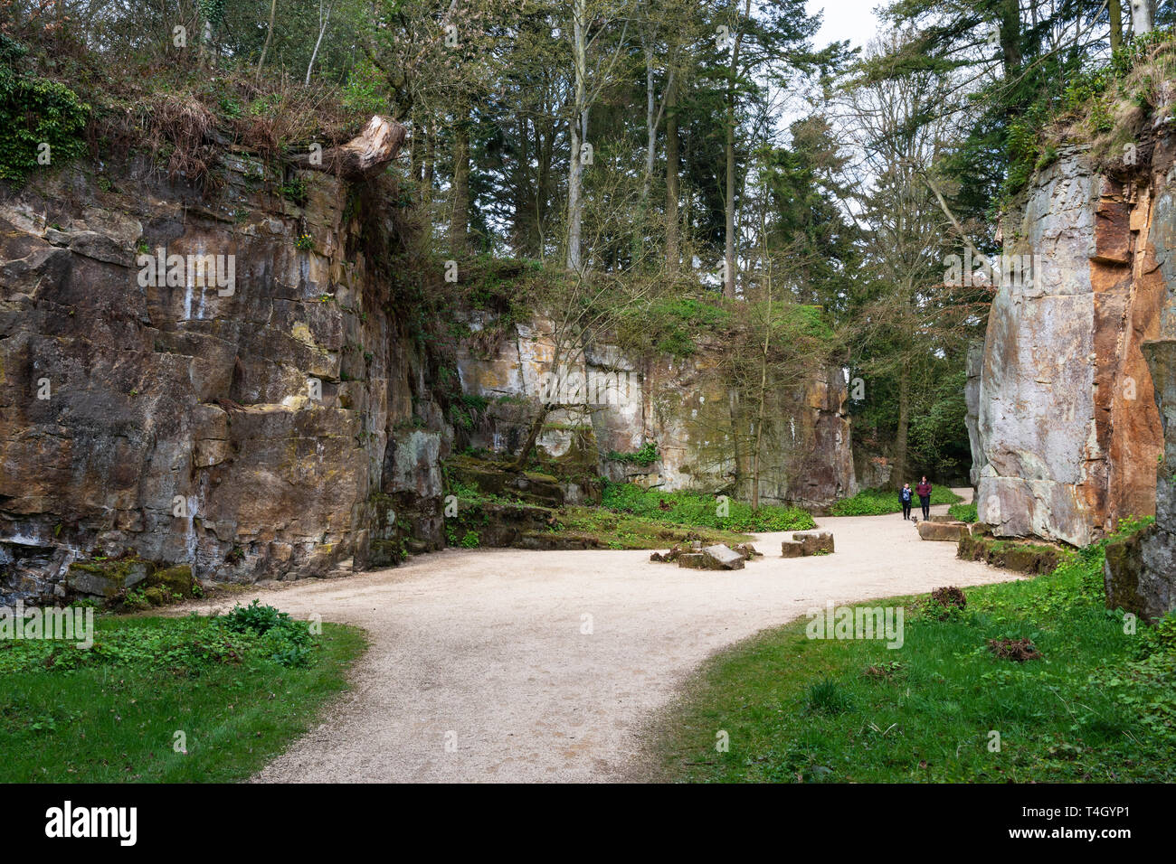 The quarry garden at Belsay Hall, an early 19th Century mansion house ...