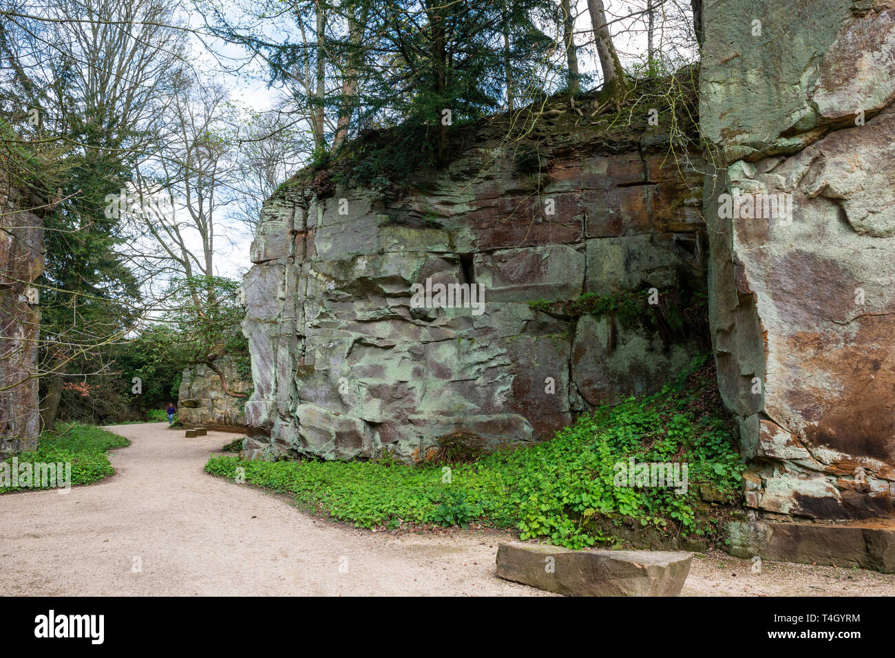The quarry garden at Belsay Hall, an early 19th Century mansion house ...