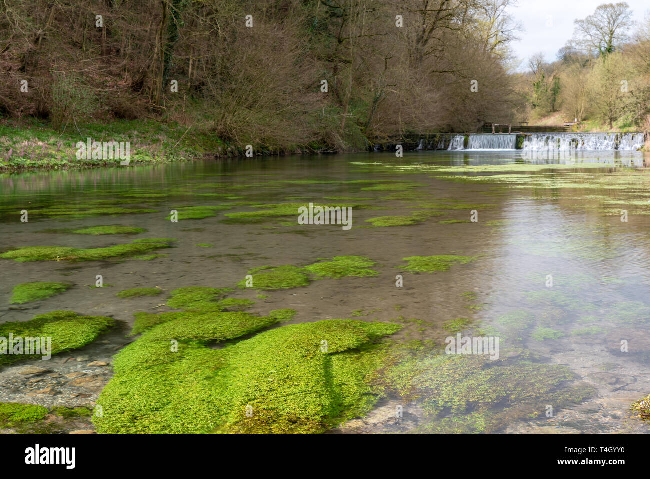 Flowing water, and waterfall cascades on the River Lathkill, Lathkill ...
