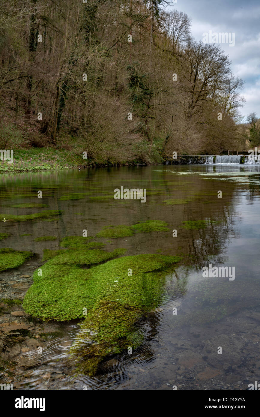 Flowing water, and waterfall cascades on the River Lathkill, Lathkill ...