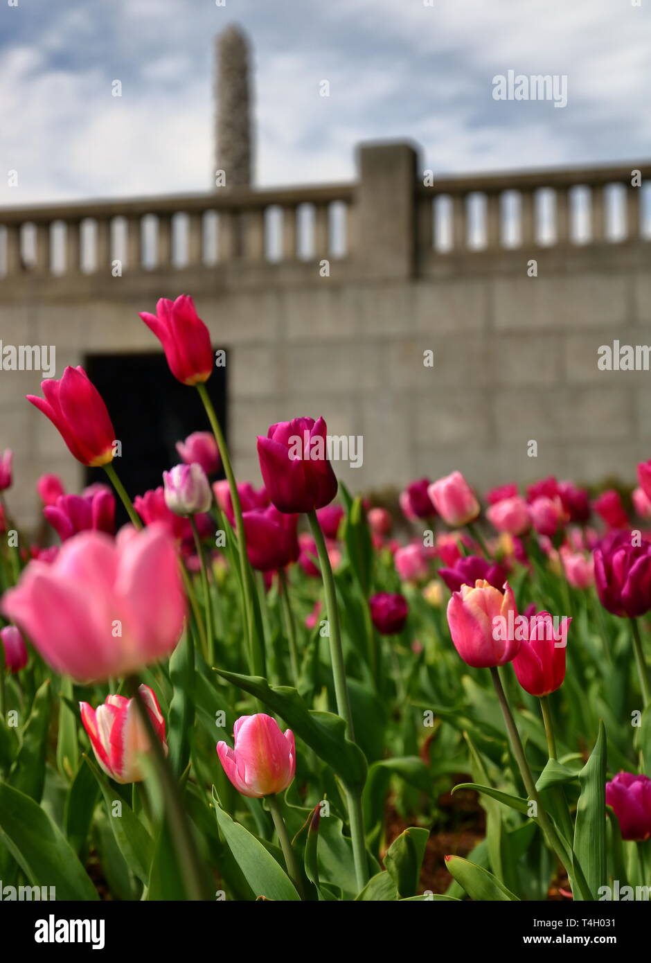 Capital of norway hi-res stock photography and images - Alamy