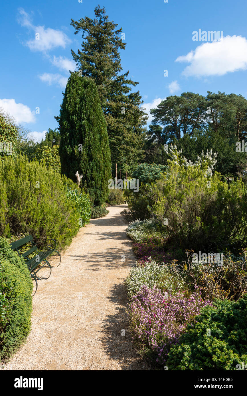 Winter garden at Belsay Hall, an early 19th Century mansion house, in ...
