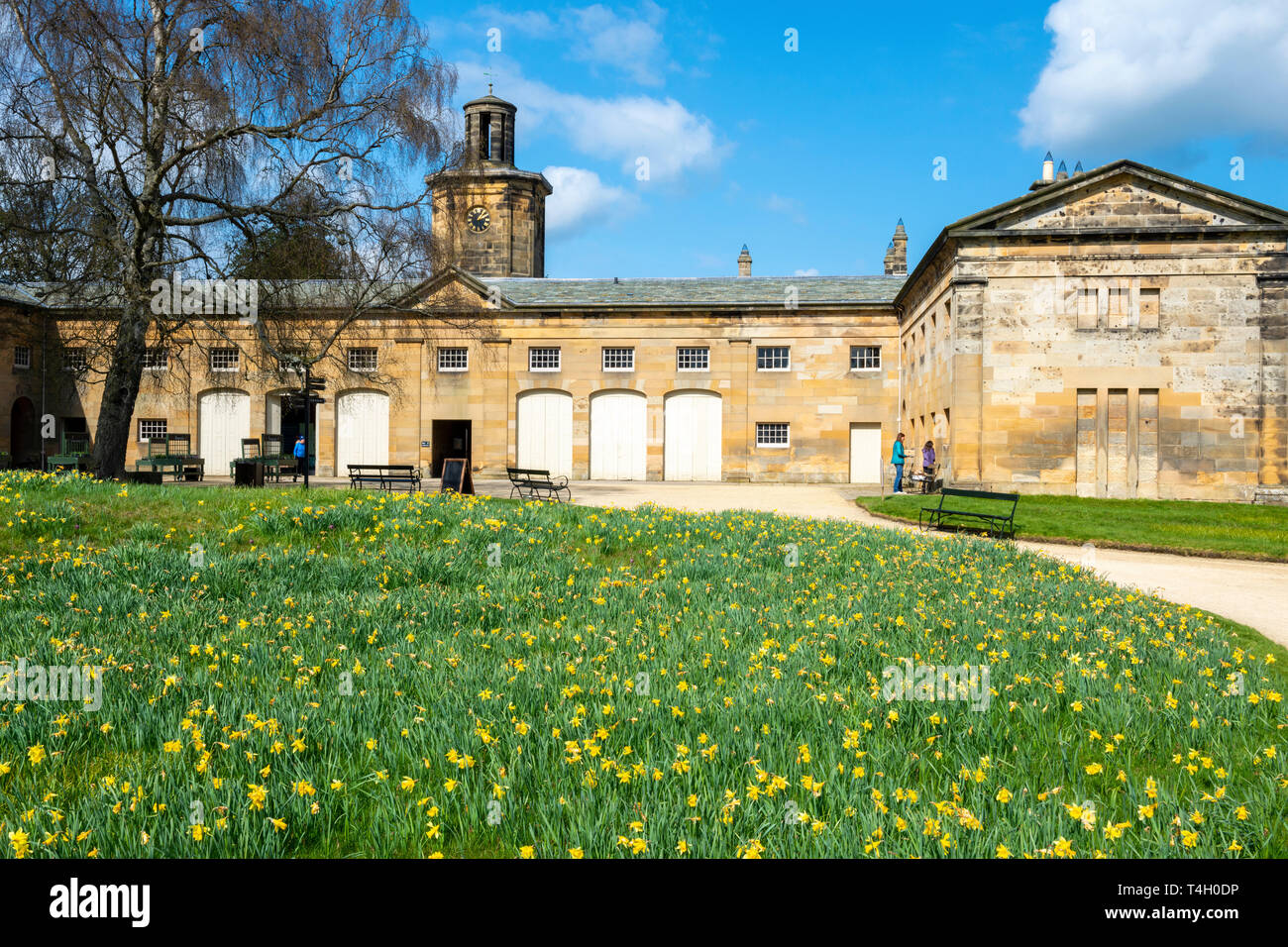 Stable block and clock tower at Belsay Hall, an early 19th Century ...