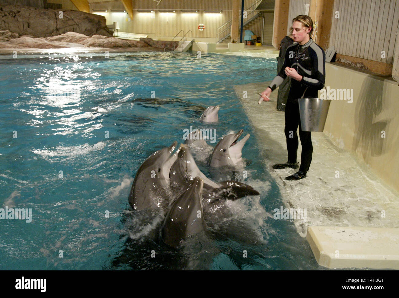 Trainer dolphinarium hi-res stock photography and images - Alamy
