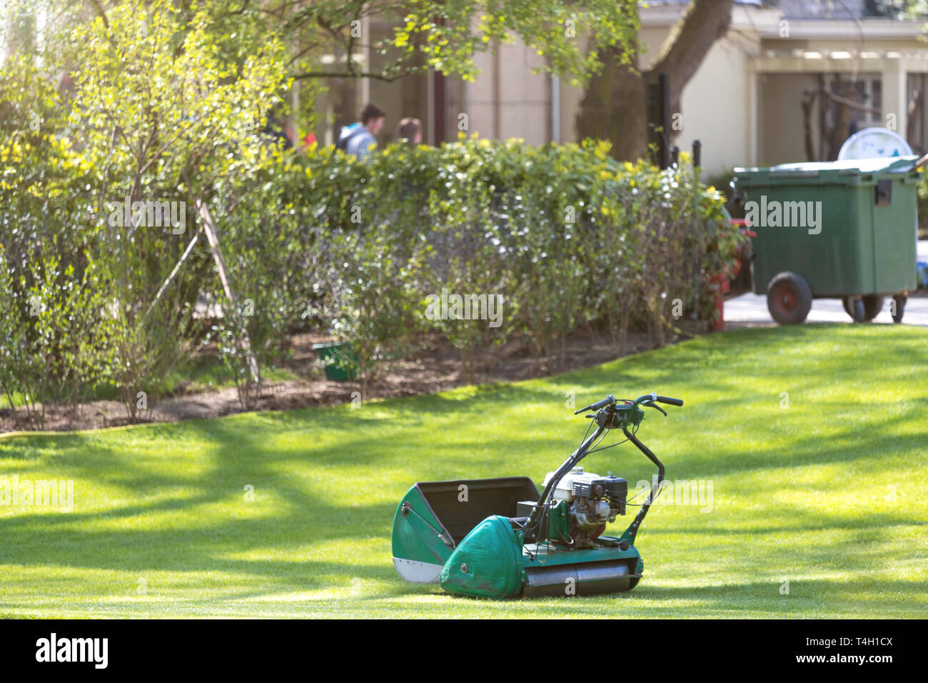 lawn mowing background Stock Photo - Alamy