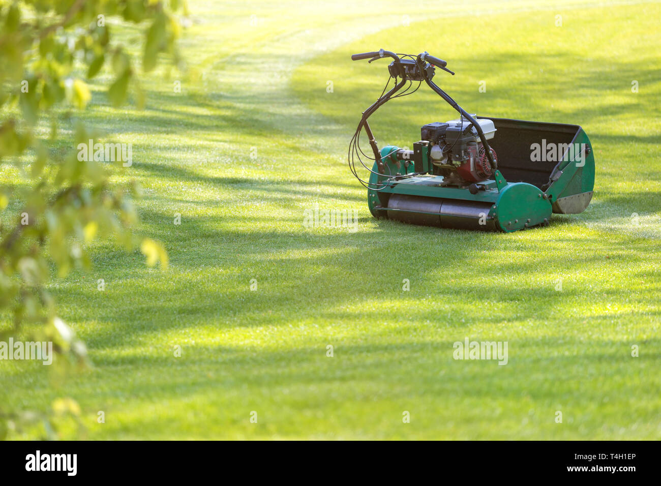 lawn mowing background Stock Photo - Alamy