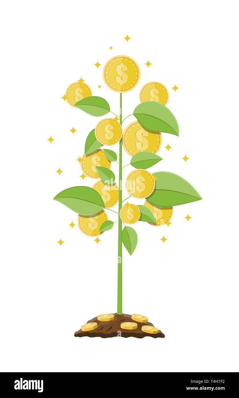 Money coin tree. Growing money tree. Investment, investing. Gold coins ...