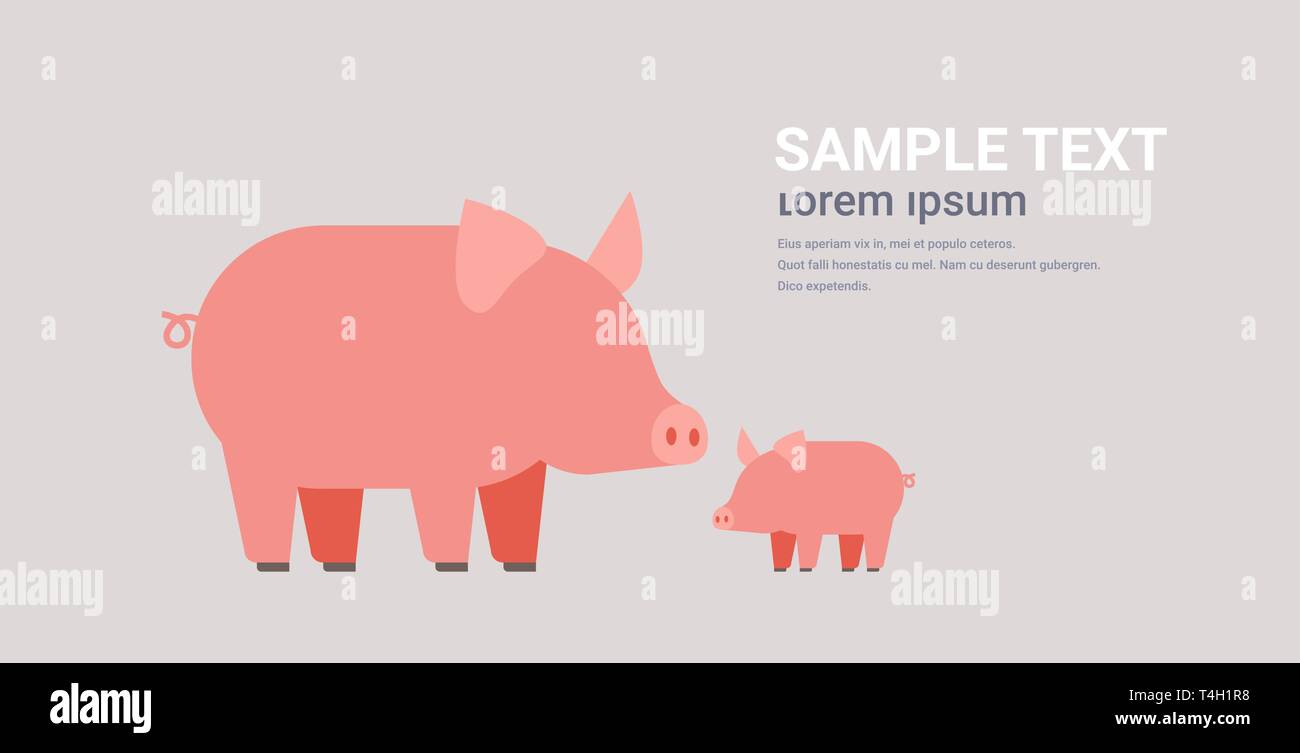 Pig husbandry horizontal Stock Vector Images - Alamy
