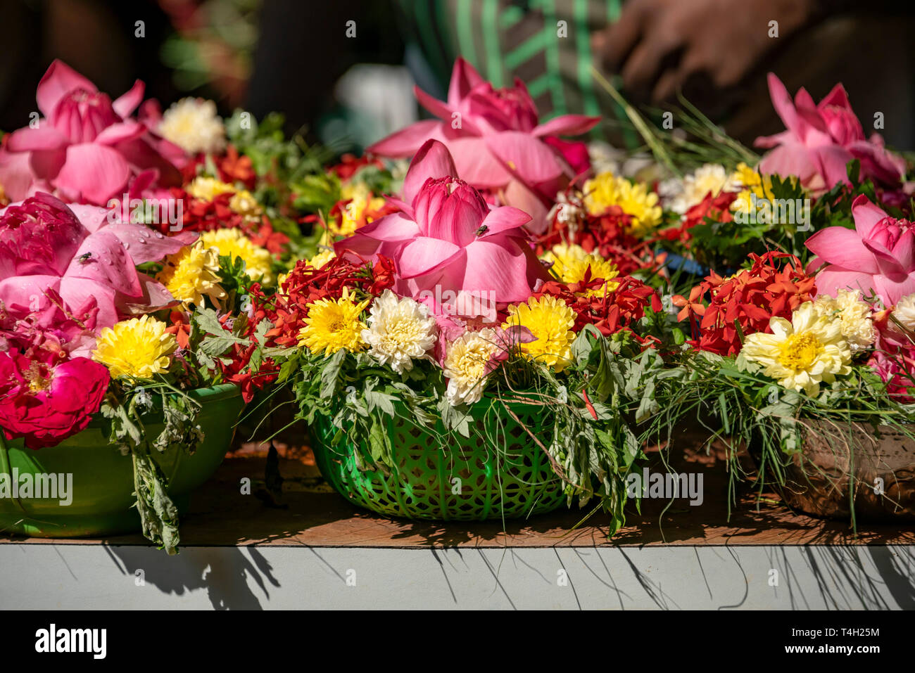 Pooja flowers hi-res stock photography and images - Alamy