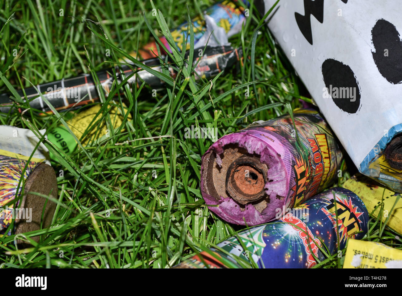 used fireworks in a pile on the grass after Bonfire night celebrations ...