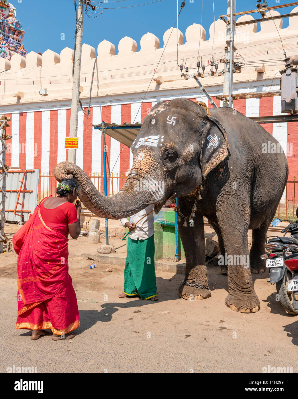 Vertical portrait of a lady being blessed by an elephant at Sri ...
