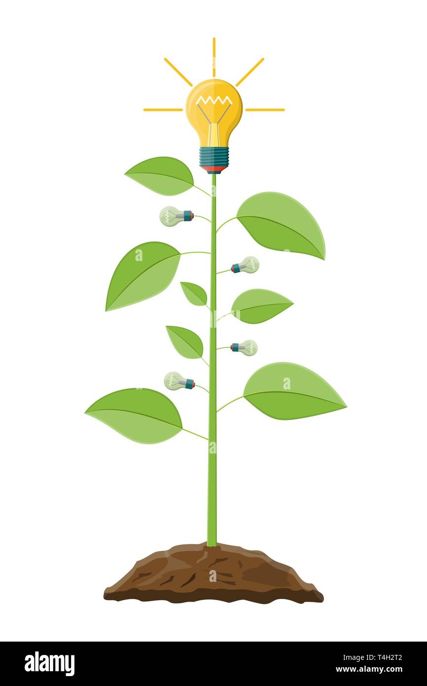 Glowing light bulb hanging on tree with green leaves. Idea tree ...