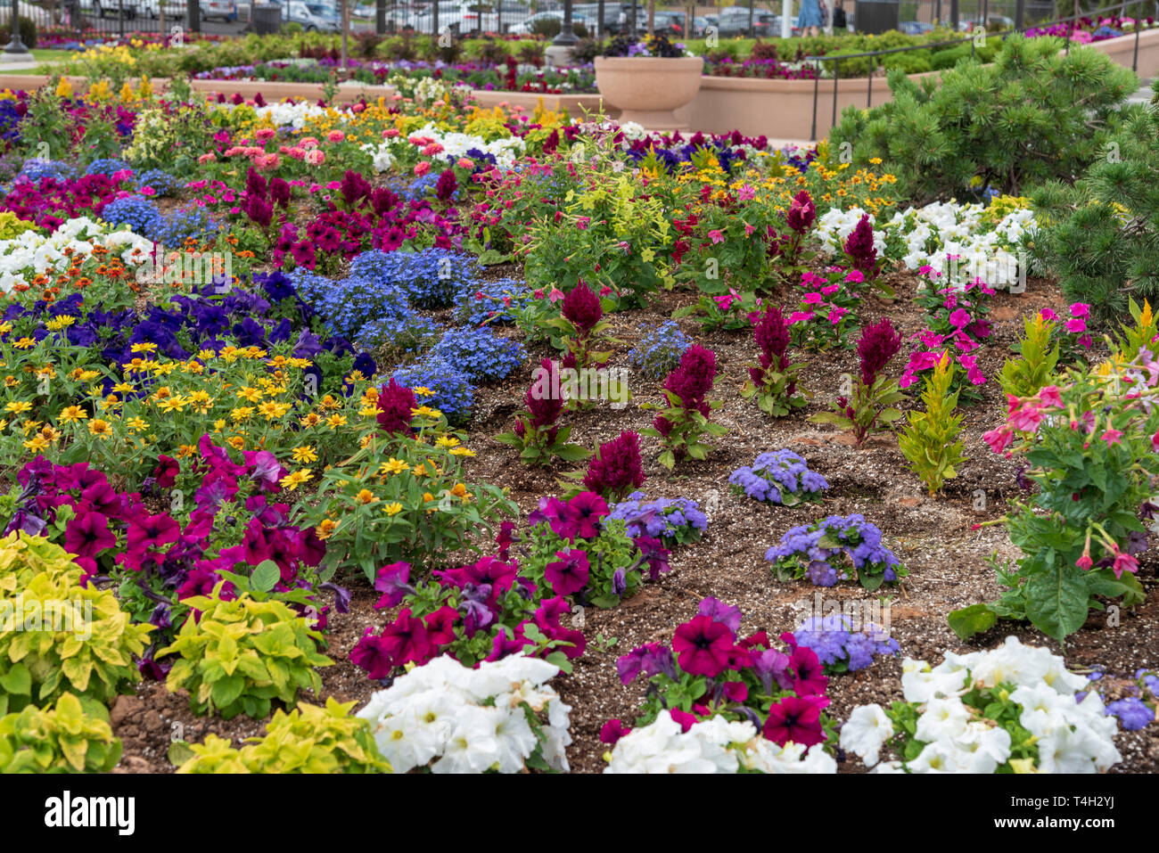 Colorful garden fulls of various flowers Stock Photo - Alamy