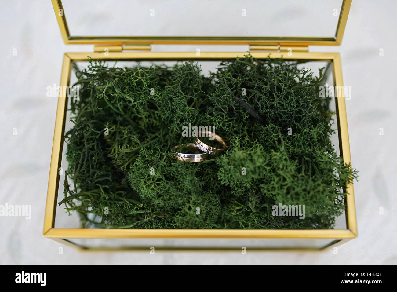 View from above into a glass box with golden brass edges filled with ...