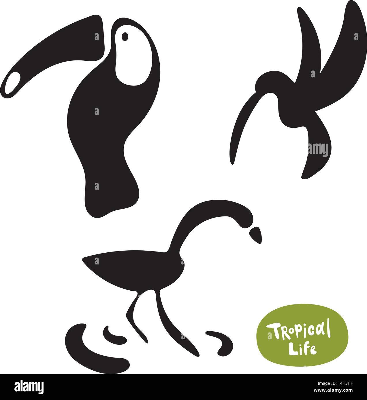 Tropical rain forest birds Stock Vector Images - Alamy