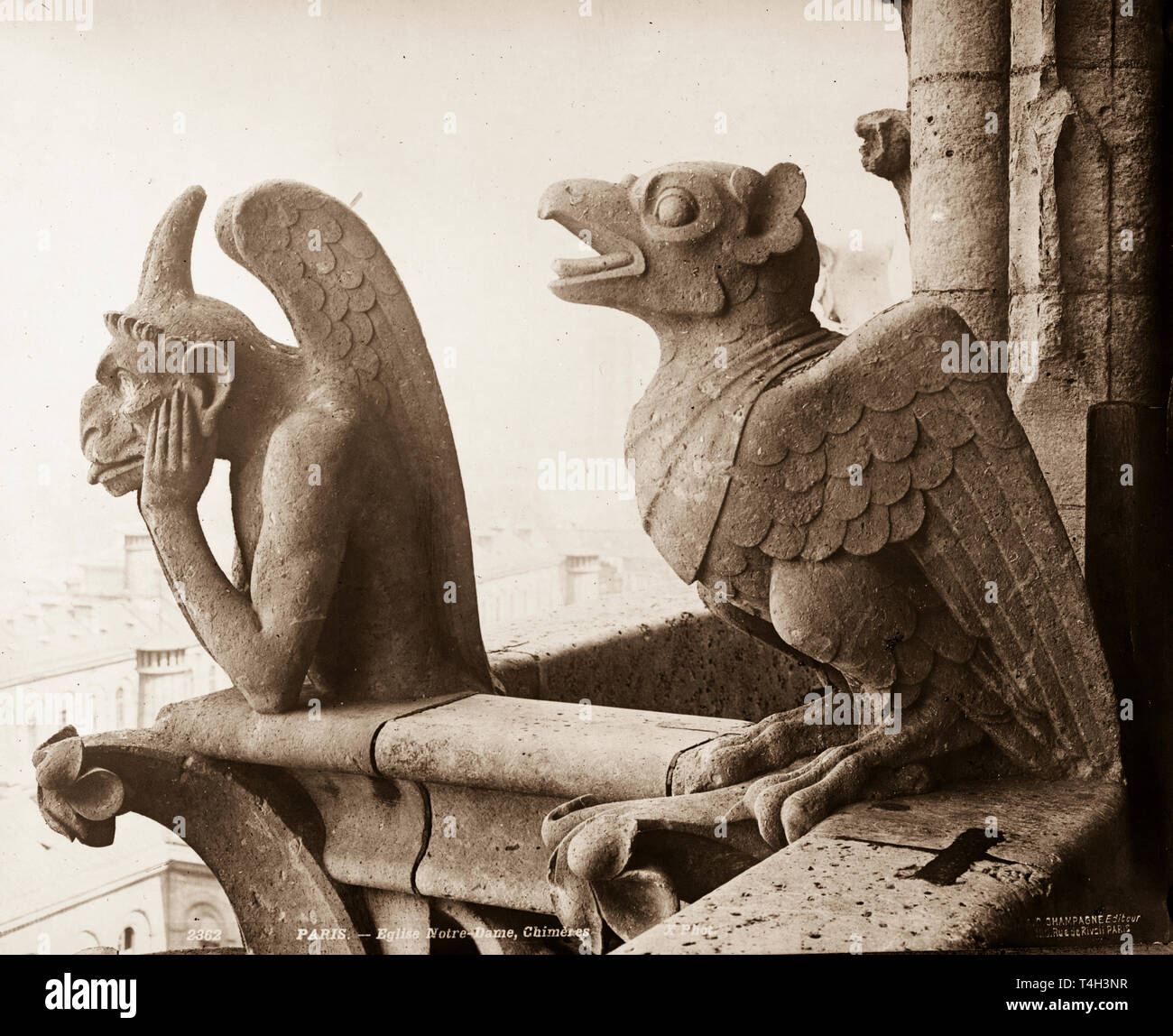 The Gargoyles of Notre Dame. 1918 Stock Photo - Alamy