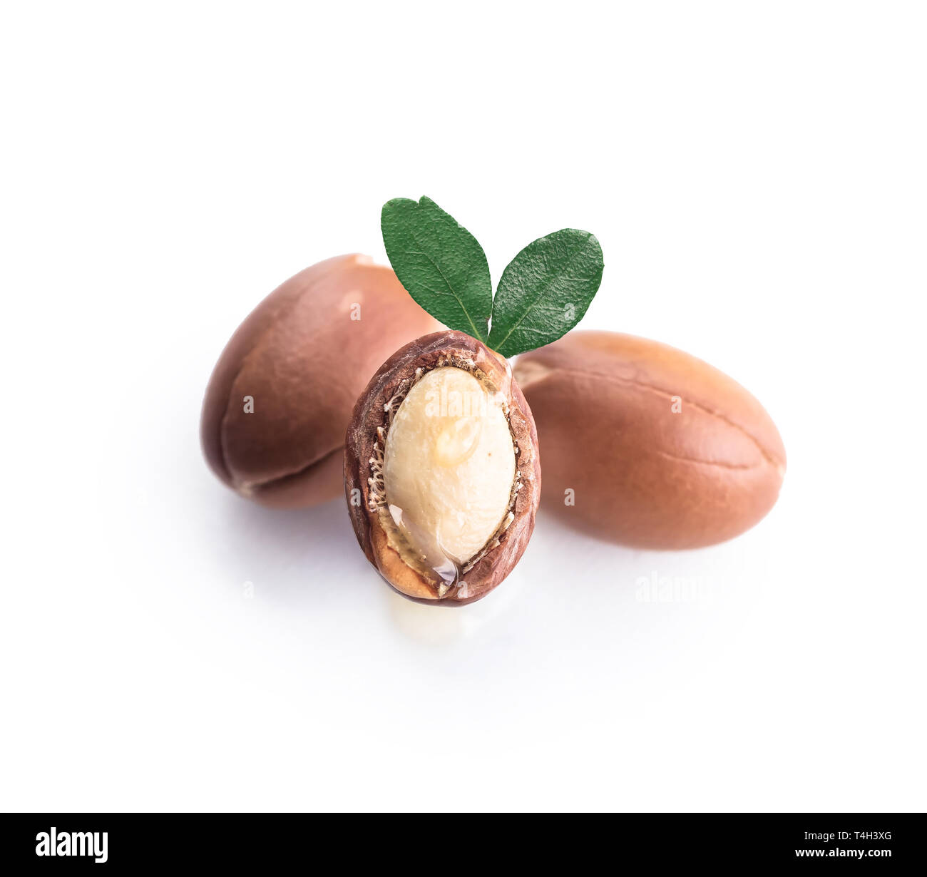 Argan nuts isolated. Three argan nuts with green leaves on an isolated ...