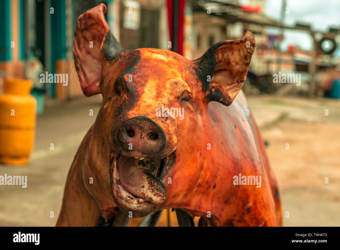 Dead body parts hi-res stock photography and images - Alamy