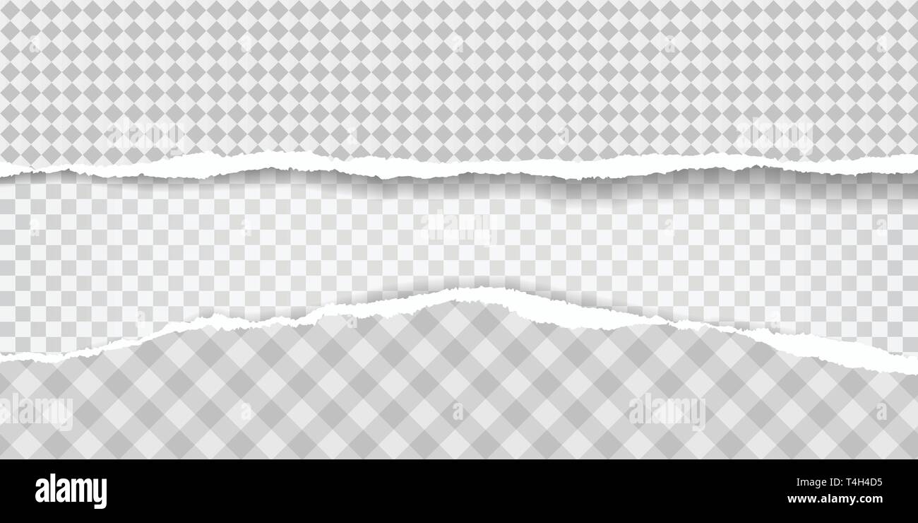 Torn squared horizontal paper strips with soft shadow. Vector ...