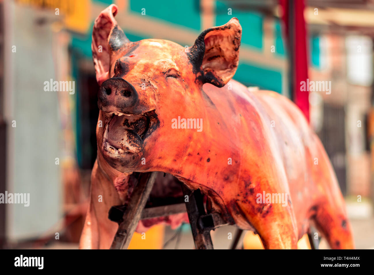 Parts Of A Pig High Resolution Stock Photography and Images - Alamy