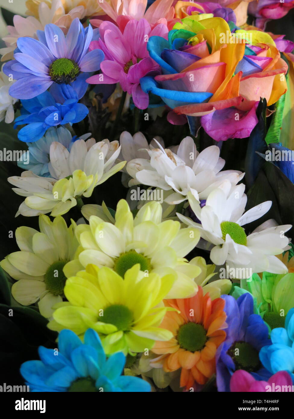 A vibrant rainbow of colours features in the flower displays in the ...