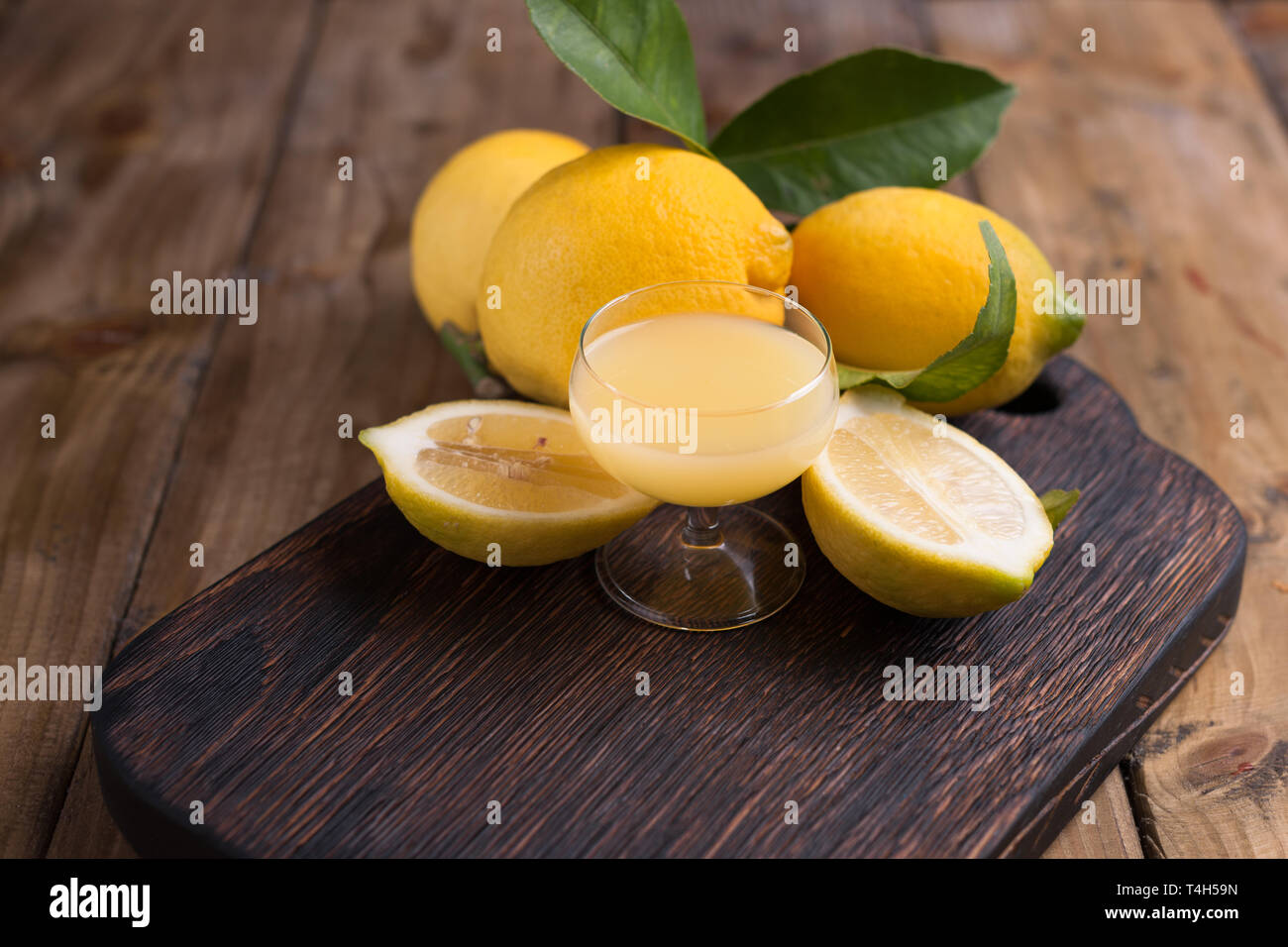 limoncello in a glass and fresh citrus fruits with green leaves ...