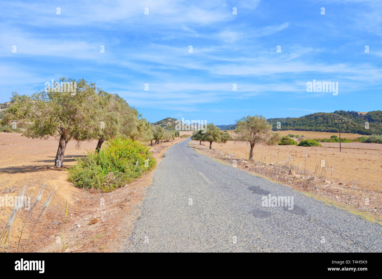 Beautiful dry landscape in Karpas Peninsula, Northern Cyprus. The empty ...