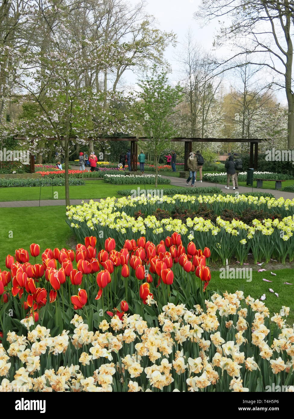 Bedding displays hi-res stock photography and images - Alamy