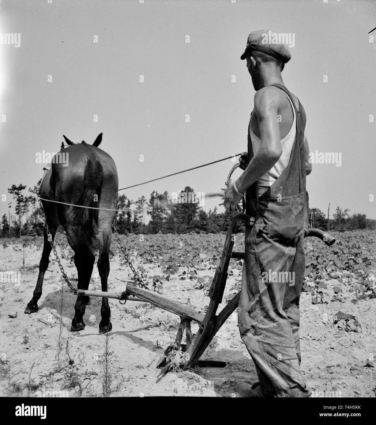 Vintage American life photography Stock Photo - Alamy