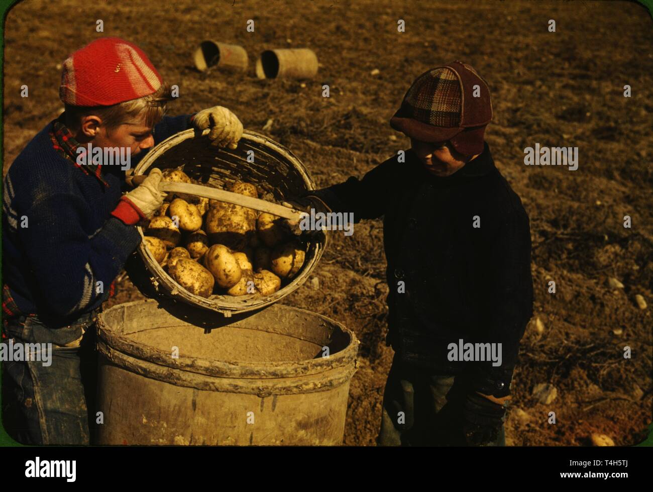 Potato farming vintage hi-res stock photography and images - Alamy